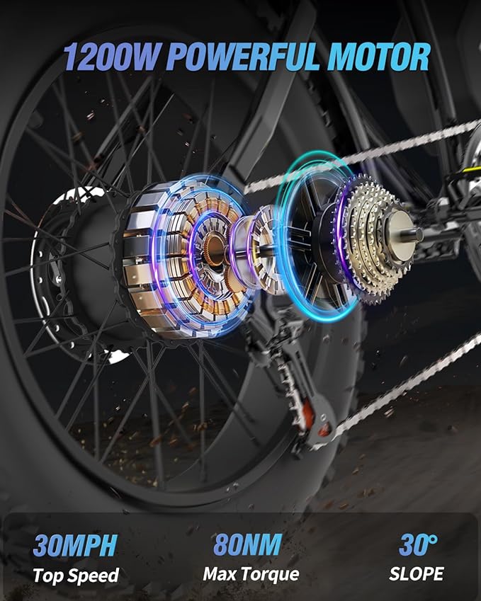 Ridstar Q20 Pro 2000W Fat Tire Electric Bicycle – Ridstar EU