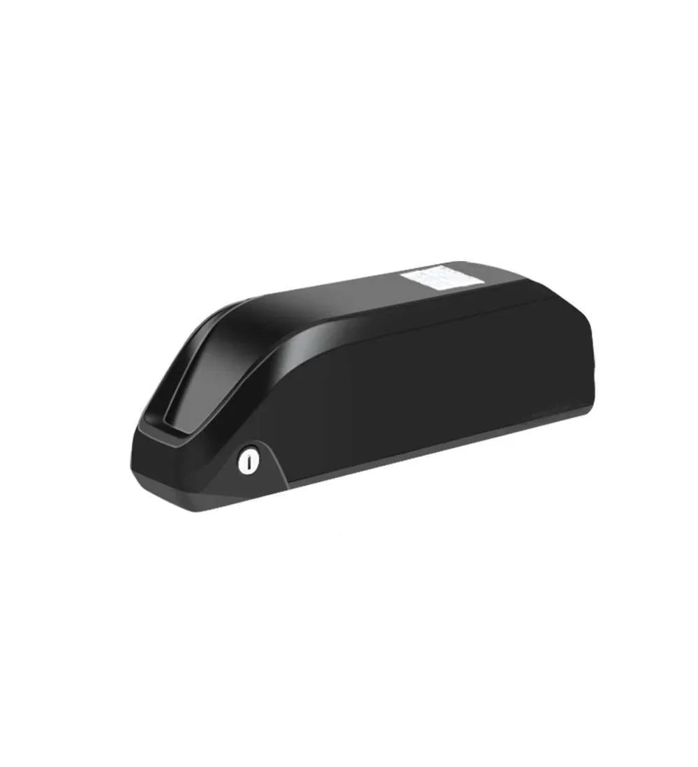 Ridstar Q20/DC26/H20 48V 20AH Removable Electric E-Bike Battery ...