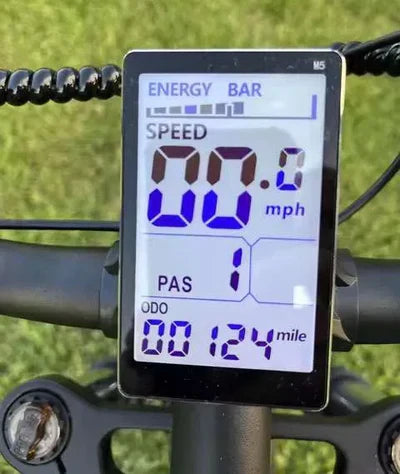 Ridstar LCD Display – Ridstar EU